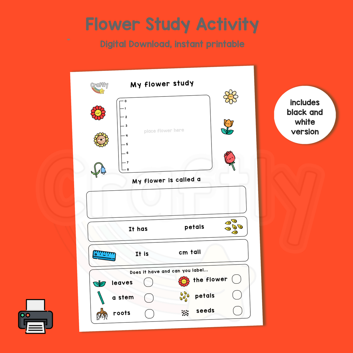 PRINTABLE Flower Study Science Activity – Craftly Ltd