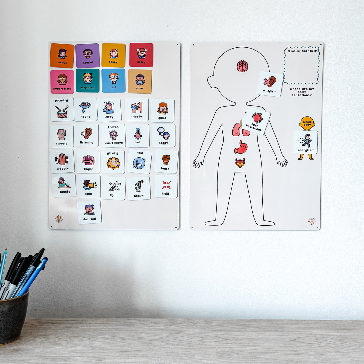 Body Sensations and Interoception Display Set – Craftly Ltd