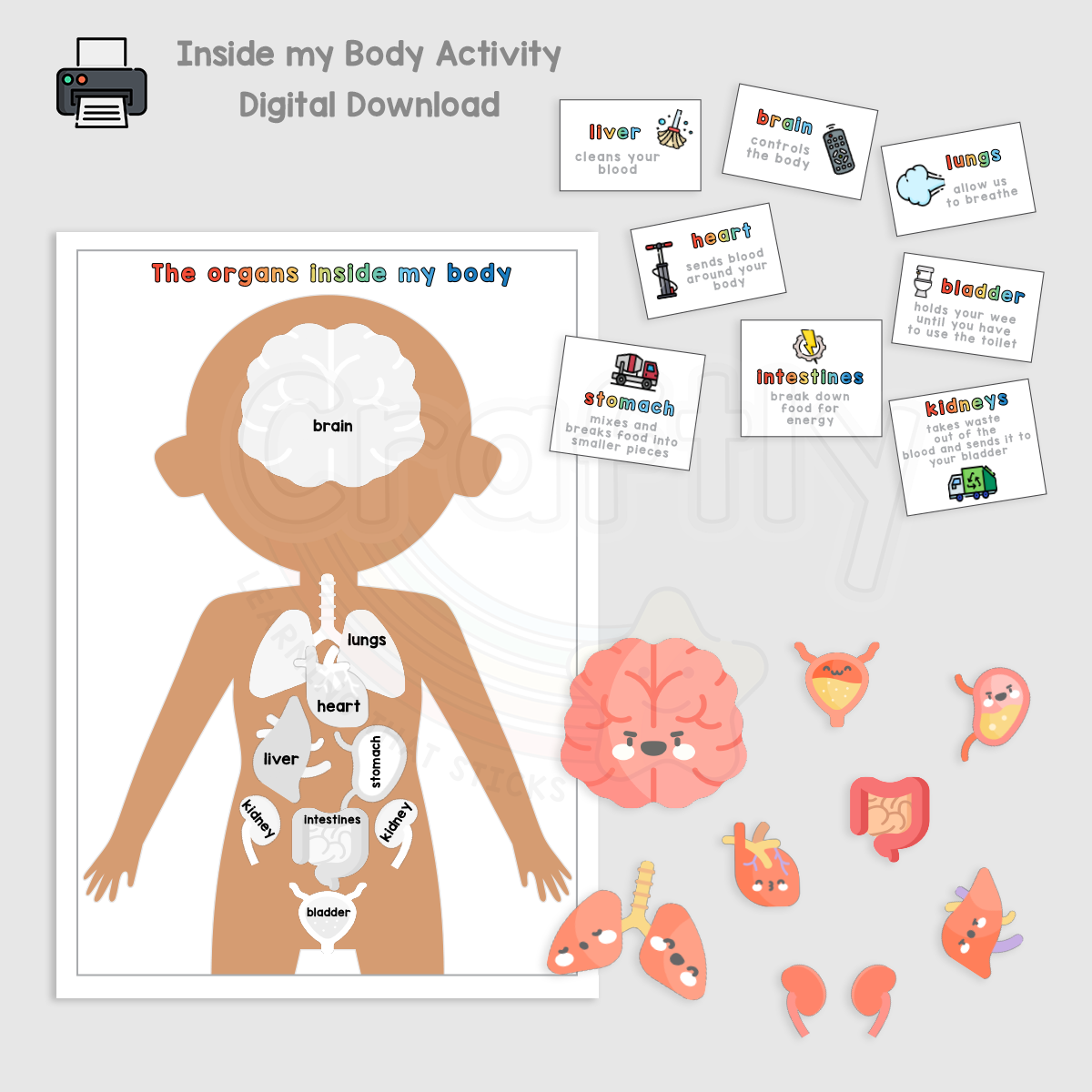 PRINTABLE Human Body Parts Activity – Craftly Ltd