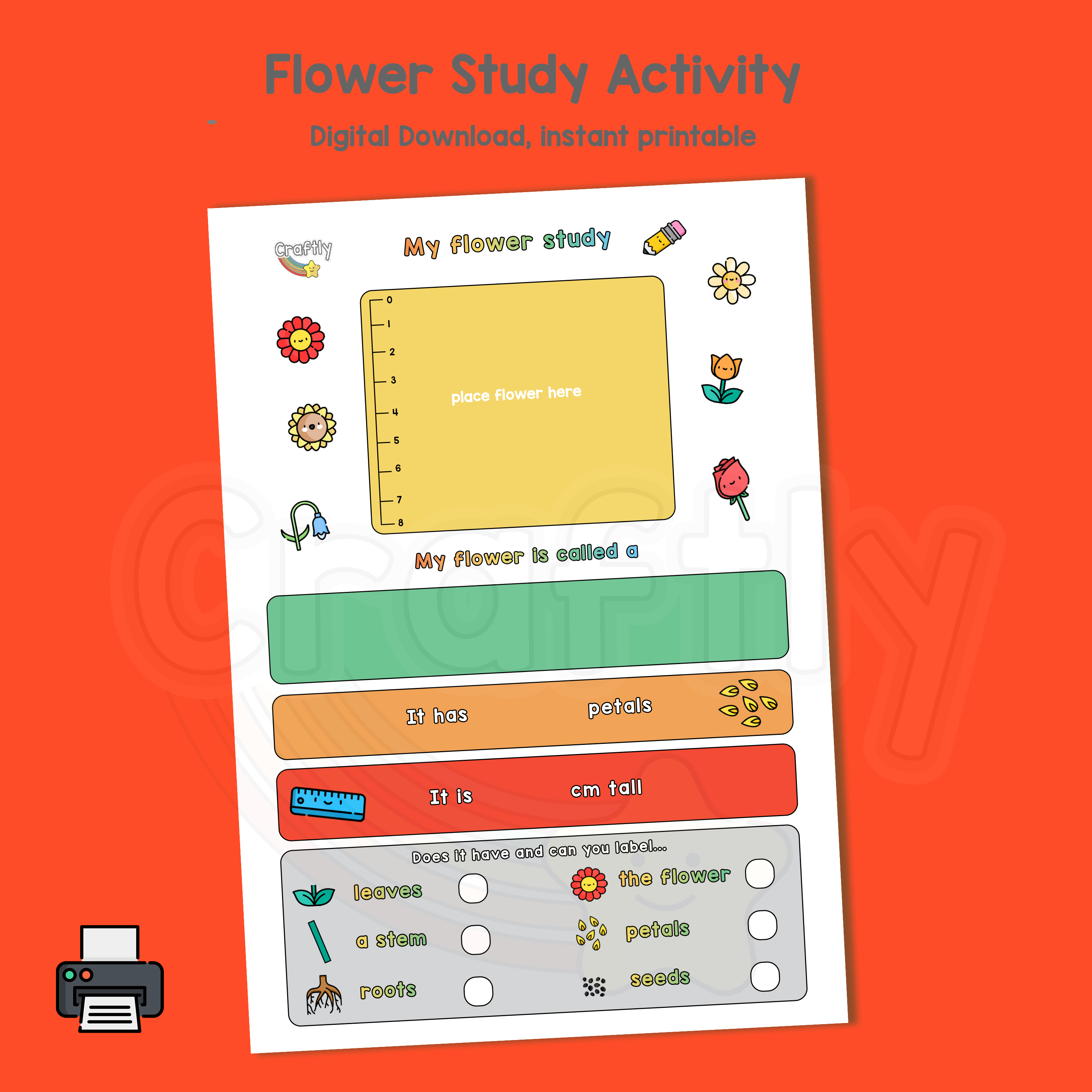 PRINTABLE Flower Study Science Activity – Craftly Ltd