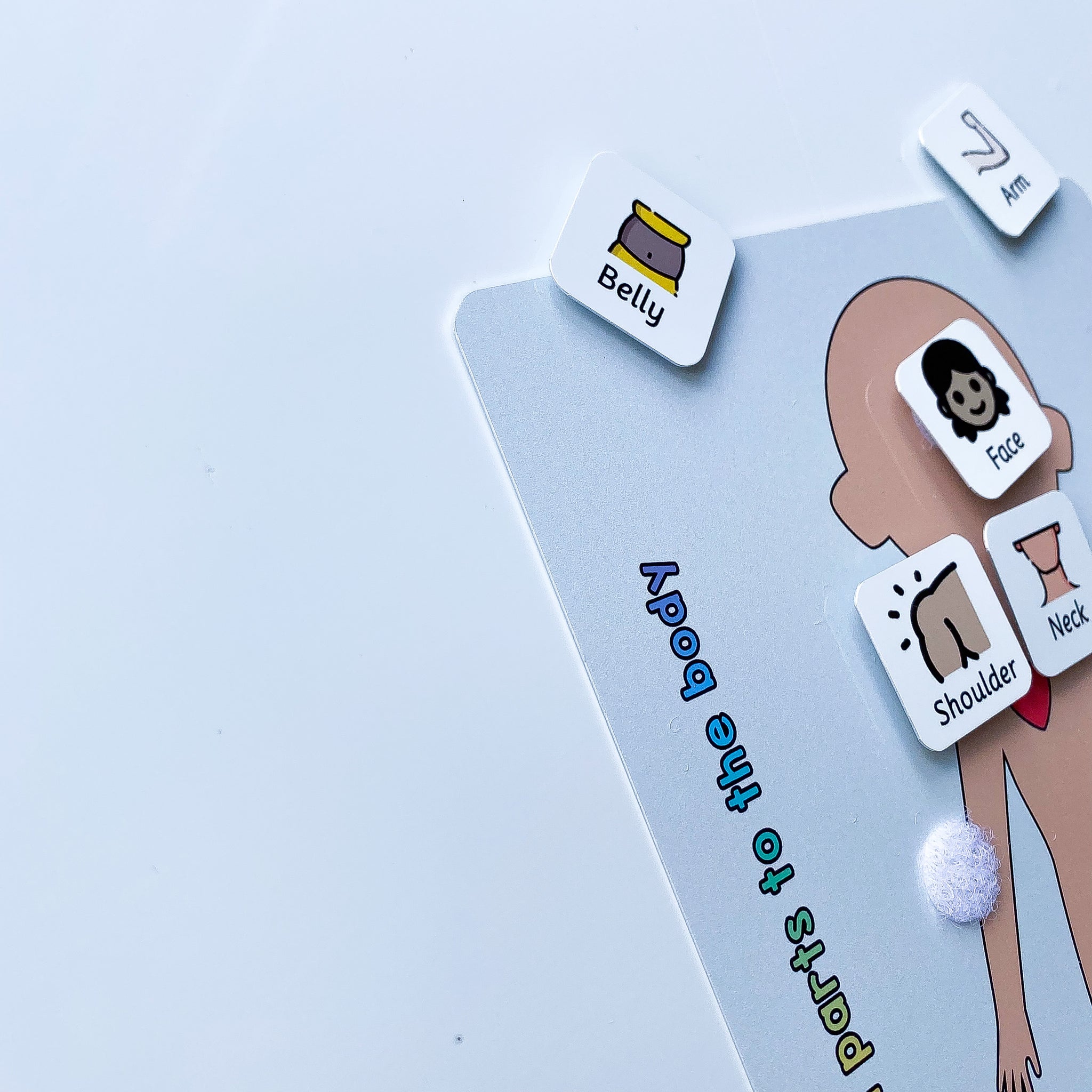 Body Parts Matching Activity Mat – Craftly Ltd